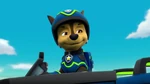 Pups Save a Lost Tooth/Gallery | PAW Patrol Wiki | Fandom