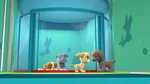 Zuma/Gallery/Pups Fall Festival | PAW Patrol Wiki | Fandom