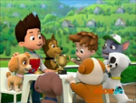Chase/Gallery/Pups Pit Crew | PAW Patrol Wiki | Fandom
