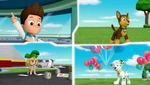 Pups Save Jake's Cake/Gallery | PAW Patrol Wiki | Fandom