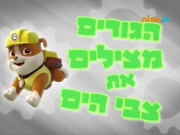 Pups Save the Sea Turtles | PAW Patrol Wiki | Fandom