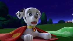 Pups in a Fog/Trivia | PAW Patrol Wiki | Fandom