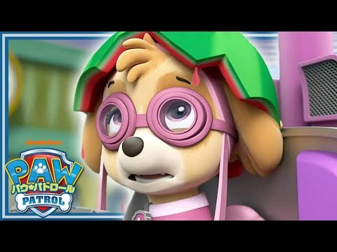 Pups Great Race/Videos | PAW Patrol Wiki | Fandom
