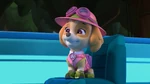 Skye/Gallery/Pups Save a Flamingo Dancer | PAW Patrol Wiki | Fandom