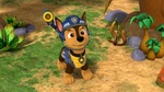 Chase/Gallery/Dino Rescue: Pups Save a T-Rex Tyke | PAW Patrol Wiki ...