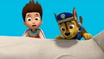 Pups Save the Shivering Sheep/Gallery | PAW Patrol Wiki | Fandom