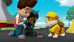Pups Save Tiny Marshall/Gallery | PAW Patrol Wiki | Fandom