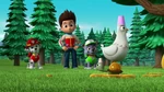 Rocky/Gallery/Pups Save Breakfast | PAW Patrol Wiki | Fandom