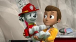Pups Save Luke Stars/Gallery | PAW Patrol Wiki | Fandom
