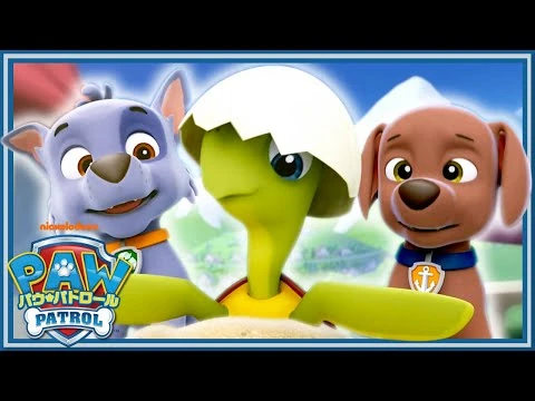 Pups Save the Sea Turtles/Videos | PAW Patrol Wiki | Fandom
