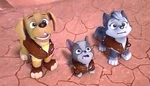 Ruff-Ruff Pack/Gallery | PAW Patrol Wiki | Fandom