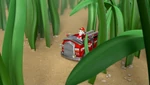 Pups Save Tiny Marshall/Gallery | PAW Patrol Wiki | Fandom