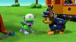 Rocky/Gallery/Pups Save the Parade | PAW Patrol Wiki | Fandom