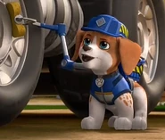 Wheeler | PAW Patrol Wiki | Fandom