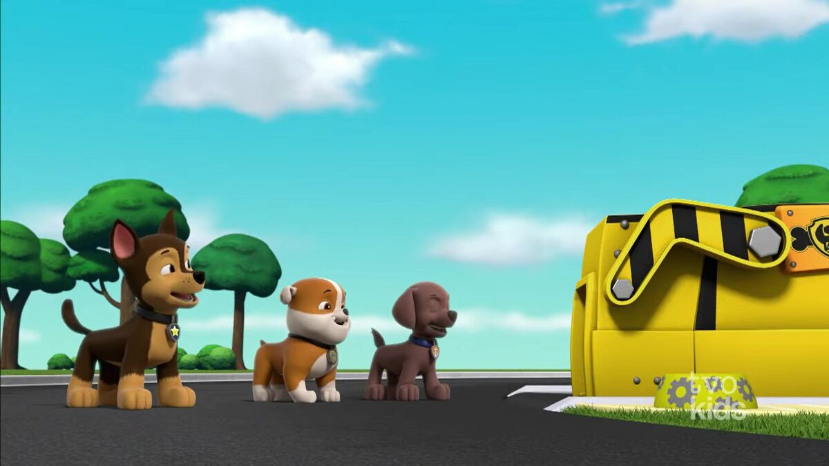 Zumagallerypups Save The Treasure Cruise Paw Patrol Wiki Fandom