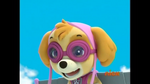Skye/Gallery/Pups Save a Flying Frog | PAW Patrol Wiki | Fandom