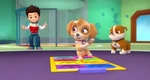 Rubble/Gallery/Pups and the Lighthouse Boogie | PAW Patrol Wiki | Fandom
