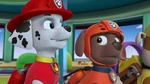 Zuma/Gallery/Pups Fall Festival | PAW Patrol Wiki | Fandom