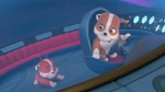 Rubble-Double/Gallery/Pups Save a Rubble-Double | PAW Patrol Wiki | Fandom