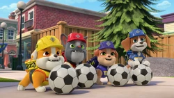 The Crew Builds a Mini Golf Course/Trivia | PAW Patrol Wiki | Fandom