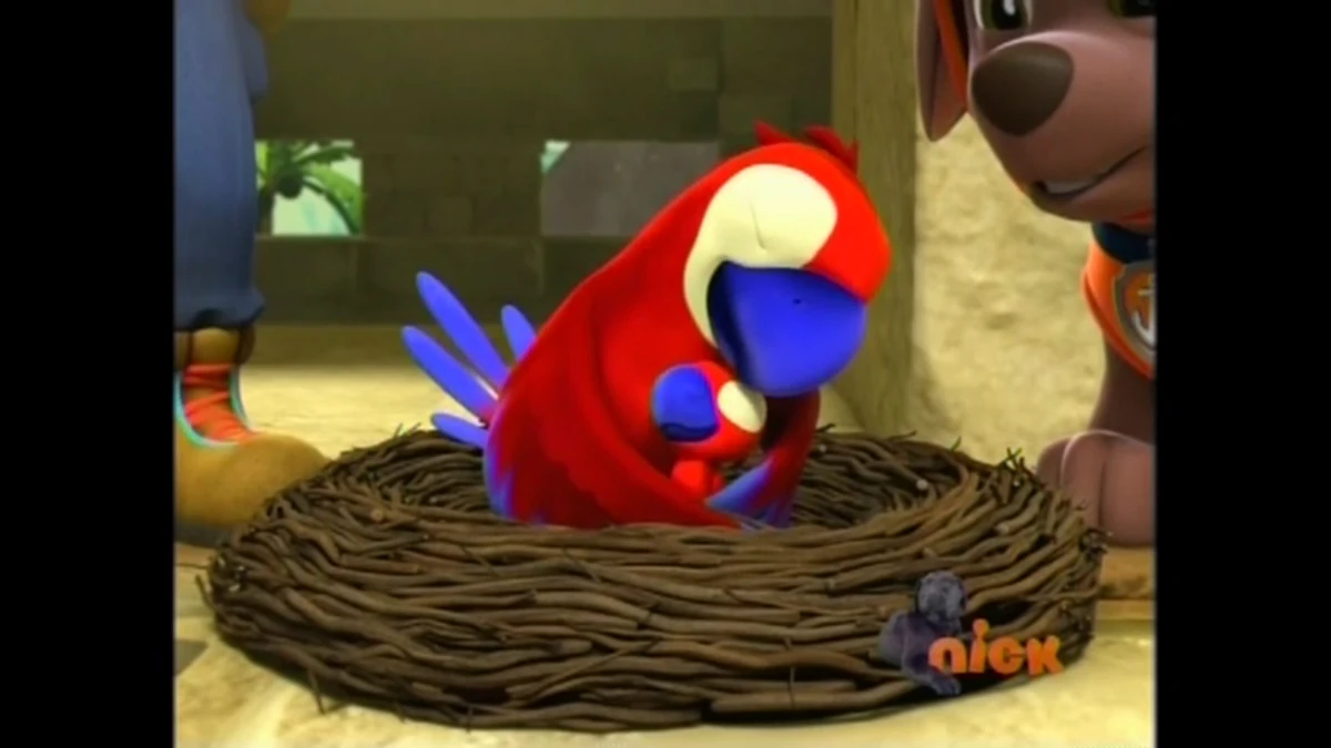 Category:Parrot Appearances | PAW Patrol Wiki | Fandom