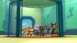 Roxi/Gallery/Rescue Wheels: Pups Save the Runaway Truck | PAW Patrol ...