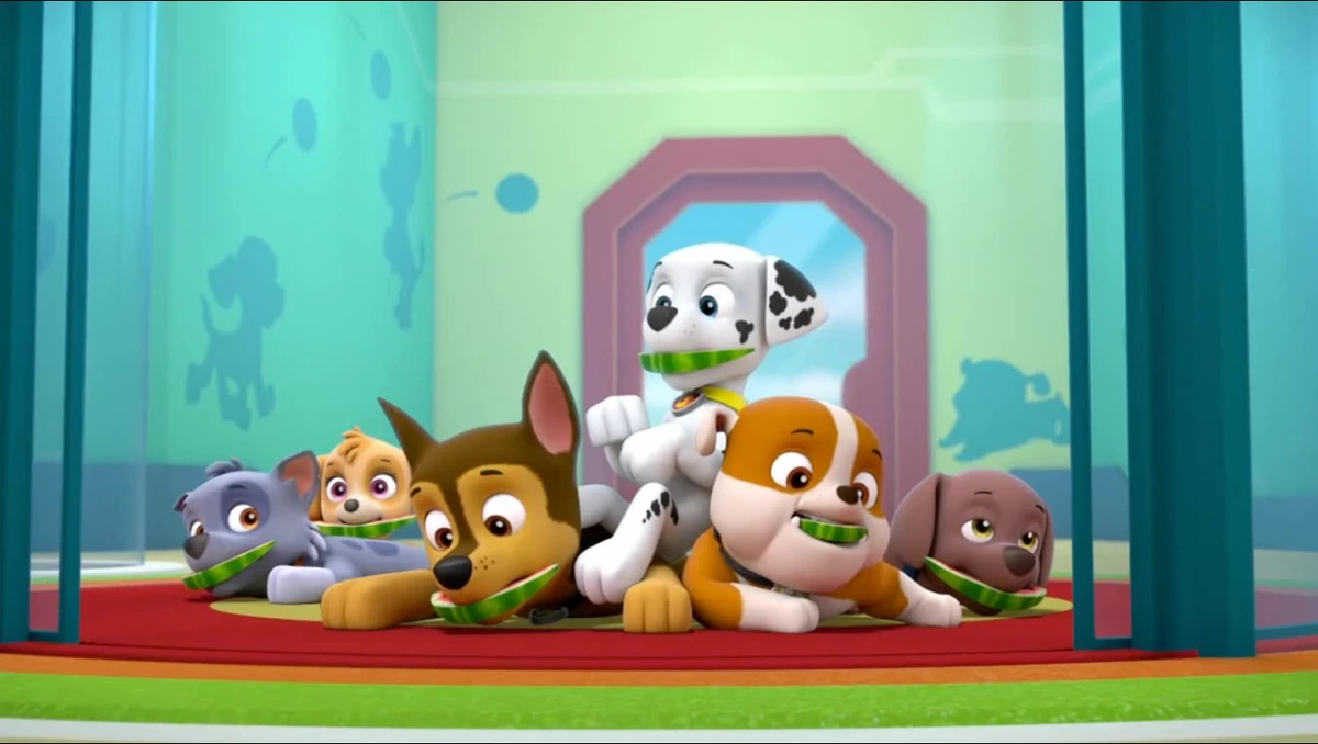 Zuma/Gallery/Pups Save the Runaway Turtles | PAW Patrol Wiki | Fandom
