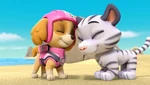 Skye/Gallery/Ultimate Rescue: Pups Save the Tigers | PAW Patrol Wiki ...