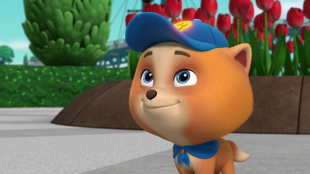 Nanotrivia Paw Patrol Wiki Fandom