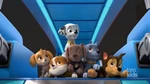 Skye/Gallery/Pups Save the Dizzy Dust Express | PAW Patrol Wiki | Fandom