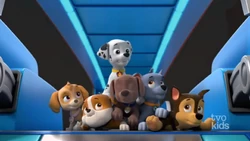 Pups Save the Dizzy Dust Express/Quotes | PAW Patrol Wiki | Fandom