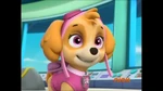Skye/Gallery/Pups Save a Flying Frog | PAW Patrol Wiki | Fandom