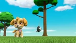 Skye/Gallery/Ultimate Rescue: Pups Save the Tigers | PAW Patrol Wiki ...
