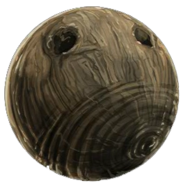 1800s Bowling Ball | Pawn Stars: The Game Wiki | Fandom