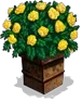 Flower Plant | Pawn Stars: The Game Wiki | Fandom