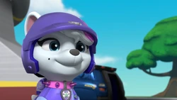 Roxi/Apariciones | Wiki Paw Patrol | Fandom