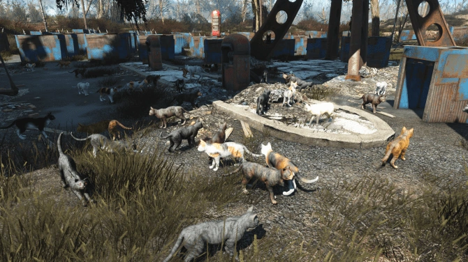 Cat | Pax Regalis Wiki | Fandom