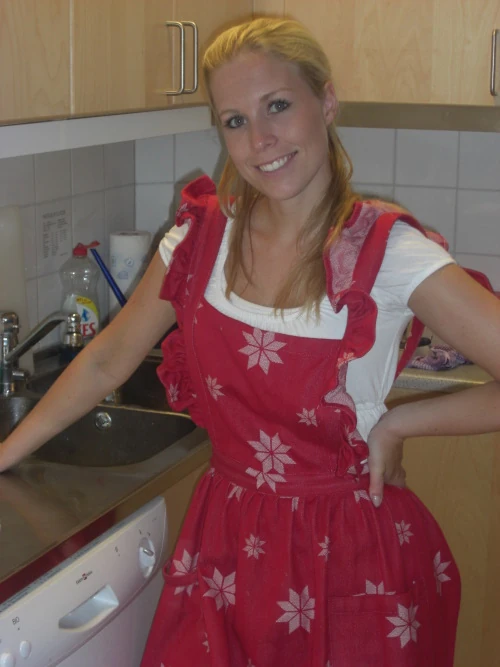 Apron | Pax Regalis Wiki | Fandom