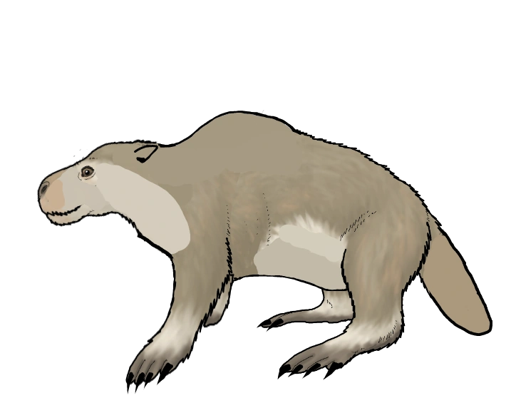 False Bear | Pax Regalis Wiki | Fandom