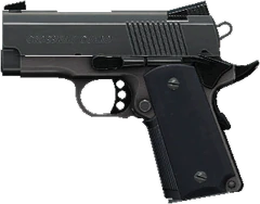 Crosskill Guard | PAYDAY Wiki | Fandom