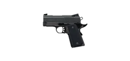 Crosskill Guard | Payday Wiki | Fandom