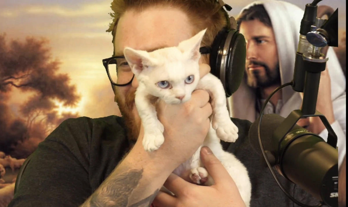 Halloumi (cat) | PaymoneyWubby Wiki | Fandom