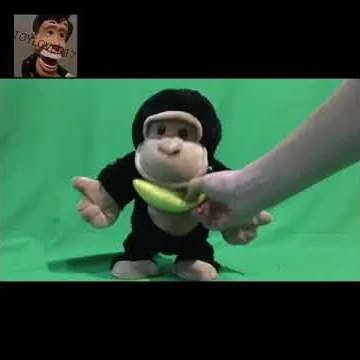 Mr. Monkey | PBC International Wiki | Fandom