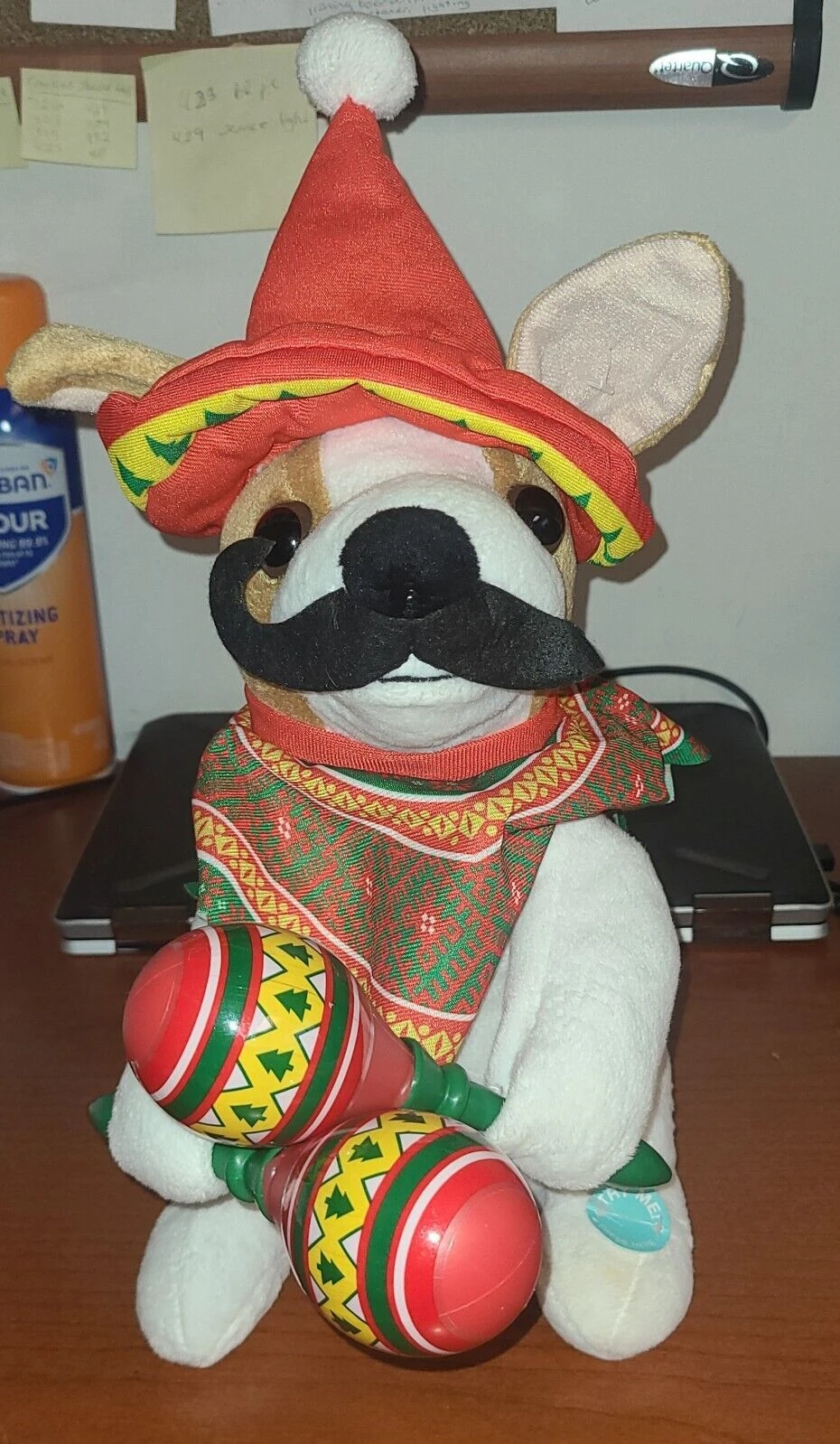 Poncho | PBC International Wiki | Fandom