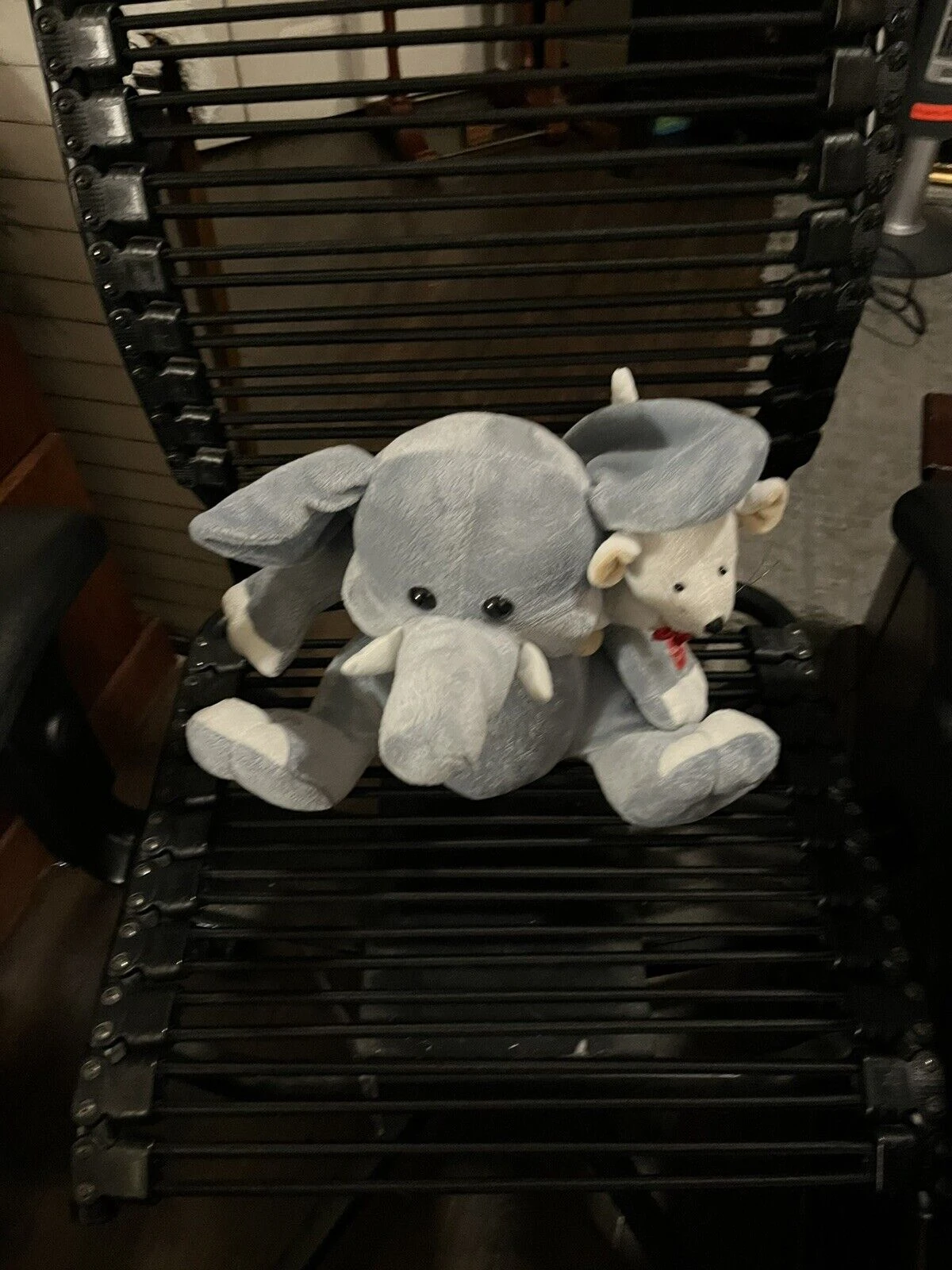 Forget Me Not | PBC International Wiki | Fandom