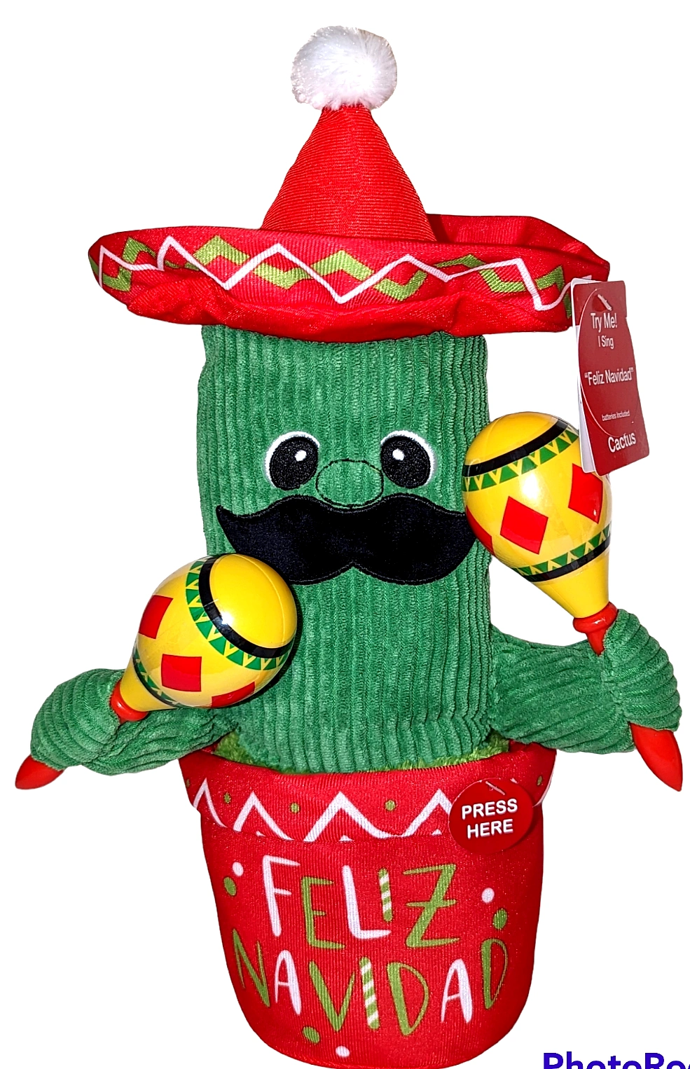 Peter the Holiday Cactus | PBC International Wiki | Fandom