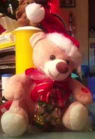 Leave Me Alone Bear | PBC International Wiki | Fandom