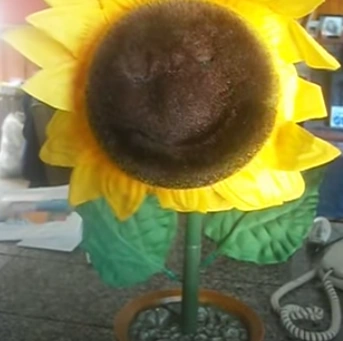 Sunni the Singing Sunflower | PBC International Wiki | Fandom