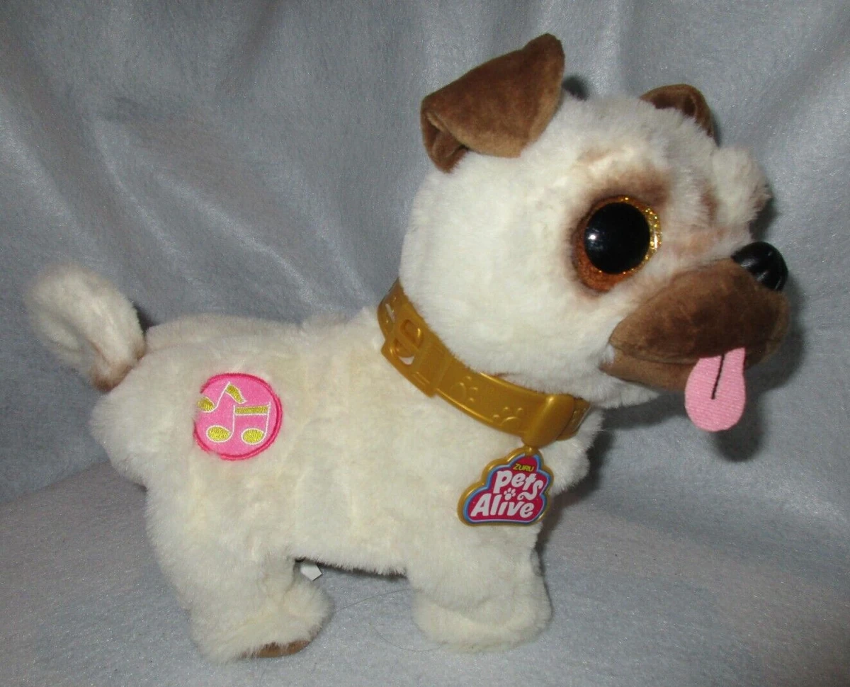 Poppy | PBC International Wiki | Fandom