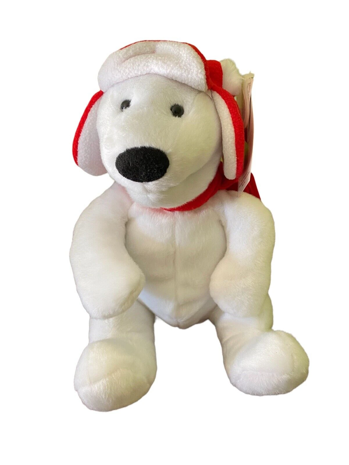 Wilbur P. Bear | PBC International Wiki | Fandom